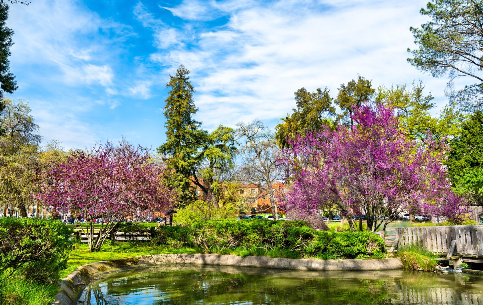 Women-Owned Dentist Office in East Sacramento - Patient-Centric Care